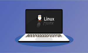Lightweight Linux Distros for Old PCs (2025 Edition) - Tech Vanity